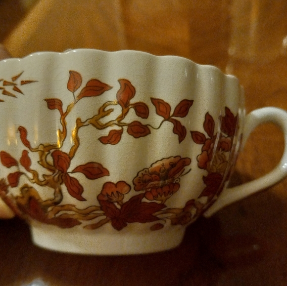 Spode | Dining | Spode Indian Tree Teacup And Saucer | Poshmark